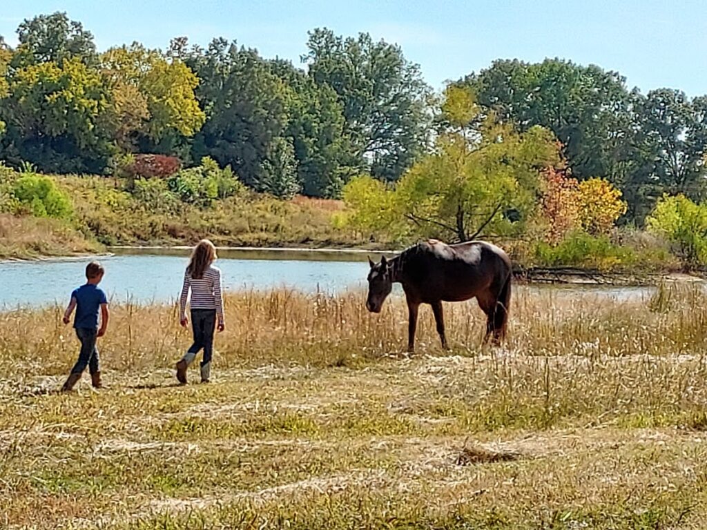 Real-World Math – Home Safe Horses
